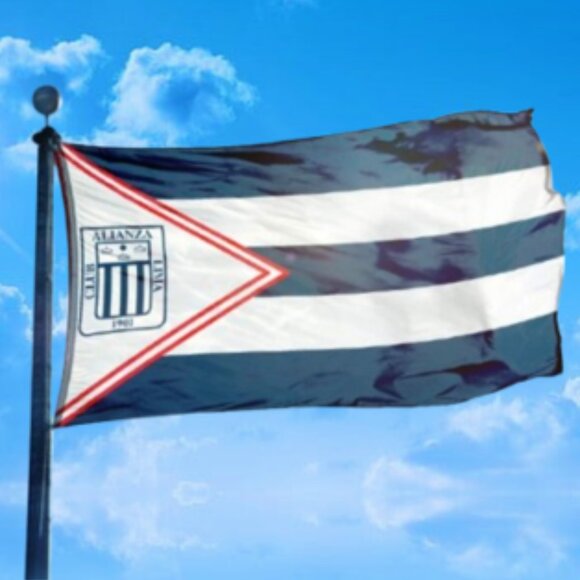 Other | Alianza Lima Flag Bandera 3 X 5 Ft | Poshmark